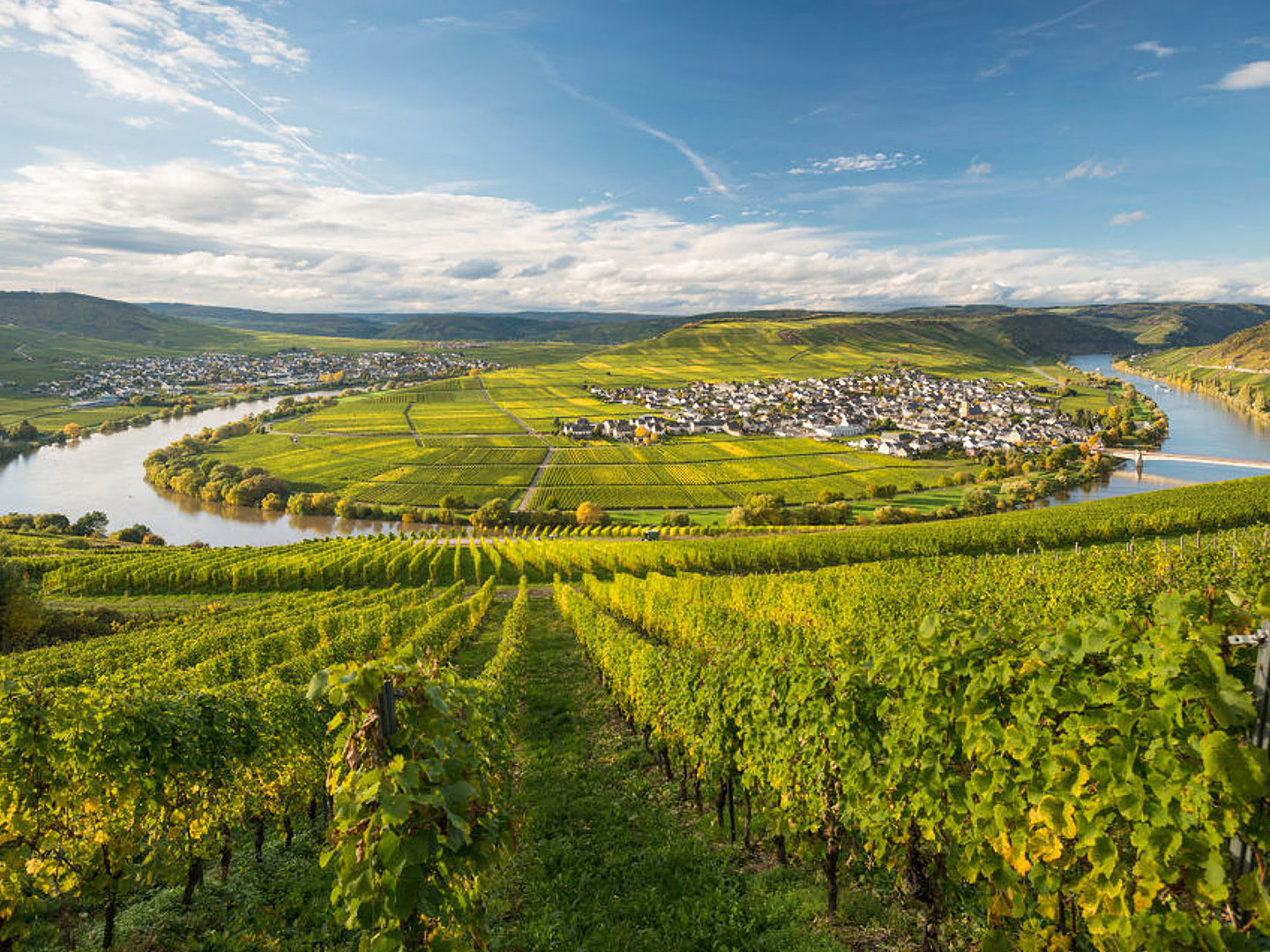 Urlaub auf dem Weingut beim Winzer – Ferienwohnung Winzerhof ...