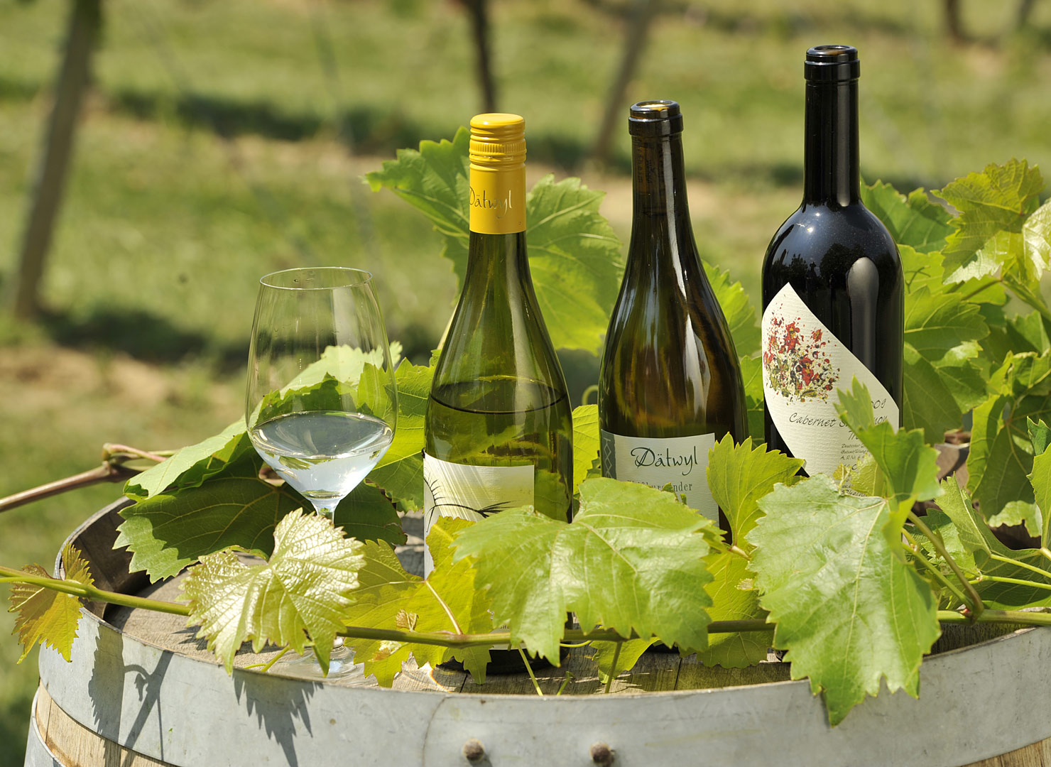 Urlaub auf dem Weingut, Winzerhof in Rheinland-Pfalz/Saarland - Mosel ...