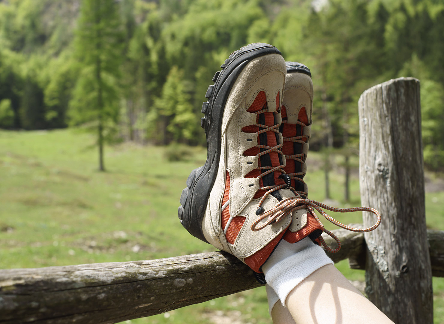 Wandern in Thüringen - Wanderurlaub Thüringer Wald, Harz, Rhön ...